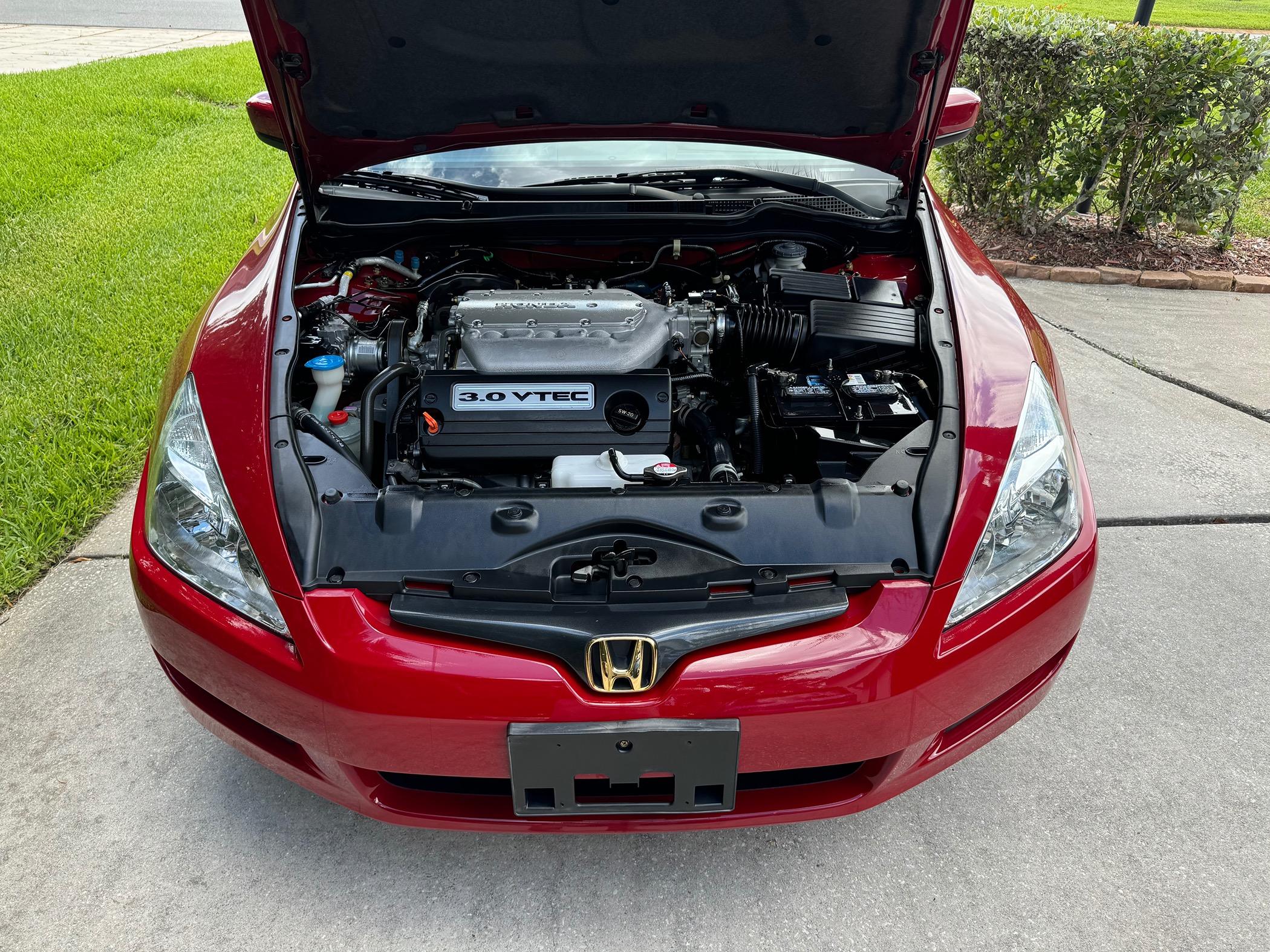 2023 Championship White FL5 - “Candy” aka Bad Panda | CivicXI - 11th ...