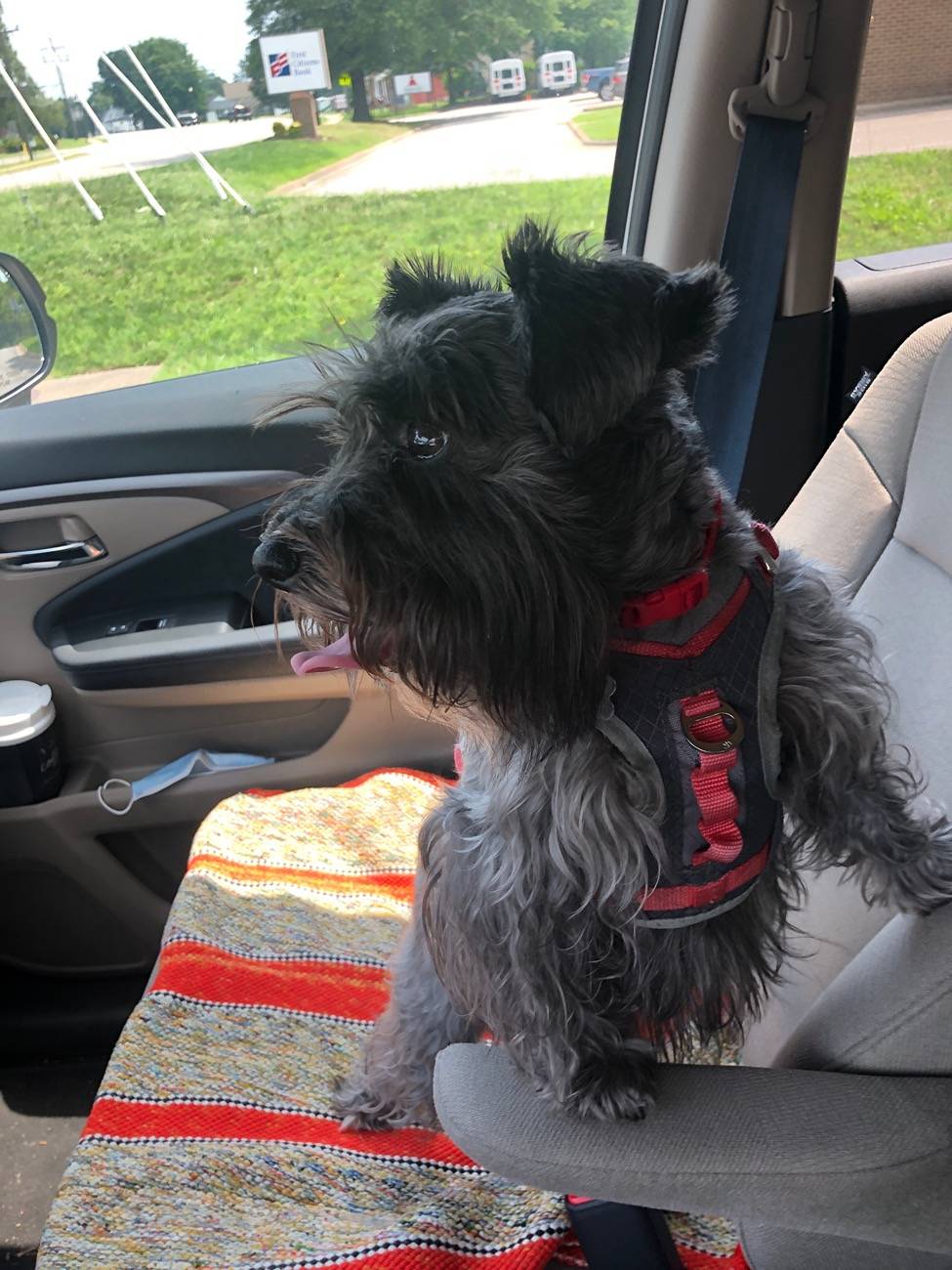 Sporky SideGrades Texas FL5 Type R | Page 3 | CivicXI - 11th Gen Civic Type R (FL5), Hybrid, Si ...