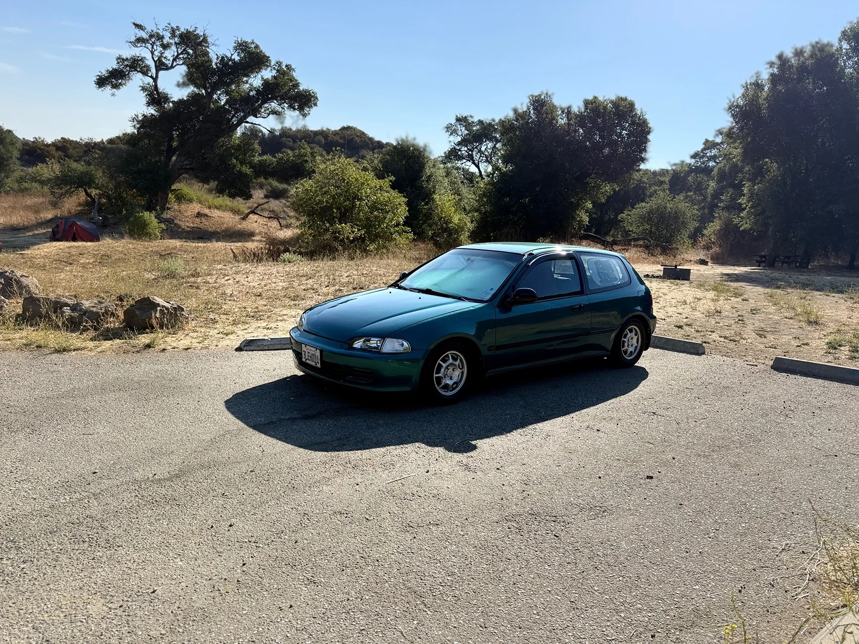 2026 FL5 Speculation Thread | Page 21 | CivicXI - 11th Gen Civic Type R ...